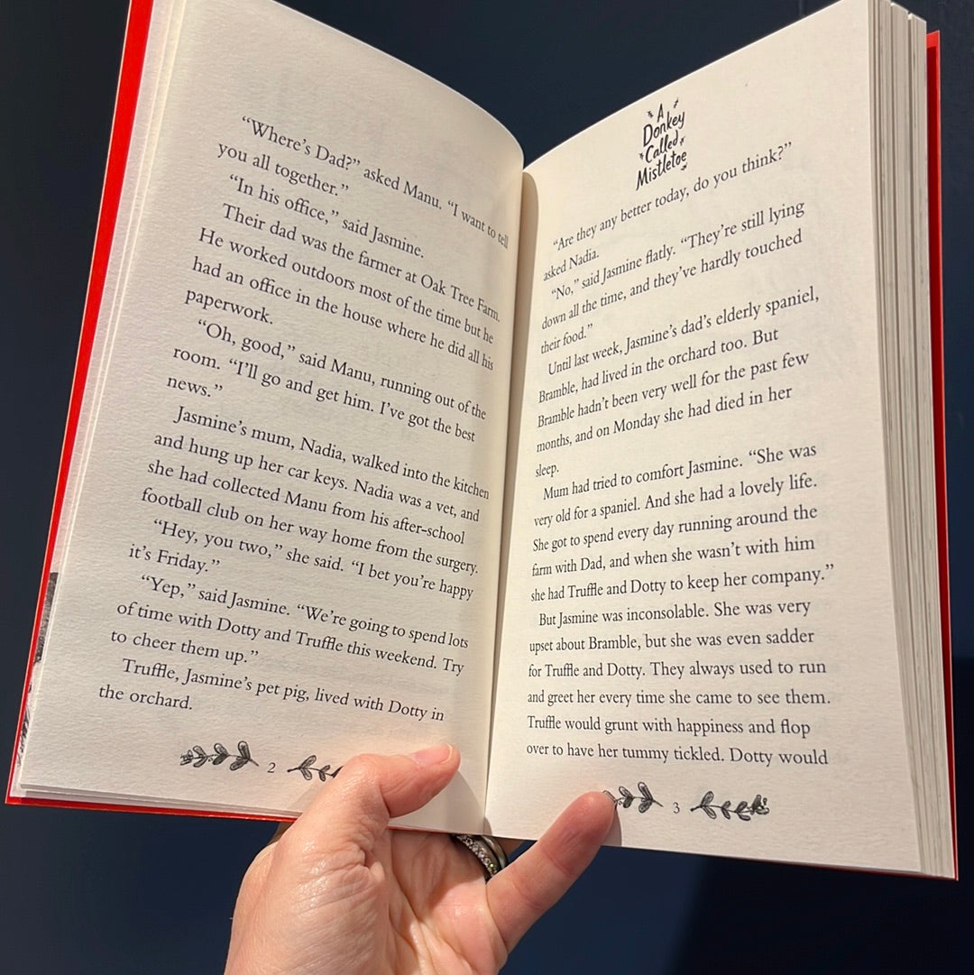 A Donkey Called Mistletoe – ChocoLit